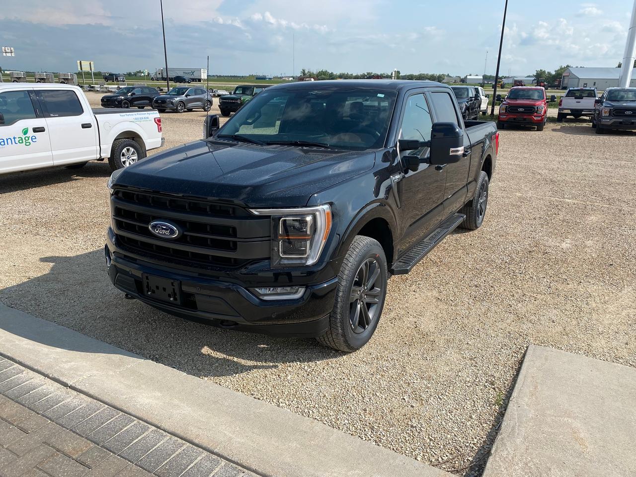 Wilf's Elie Ford | New & Used Ford Dealership in Winnipeg, MB