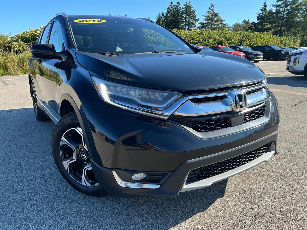 Used Vehicles for Sale in Dayton, NS | Thistle Hyundai